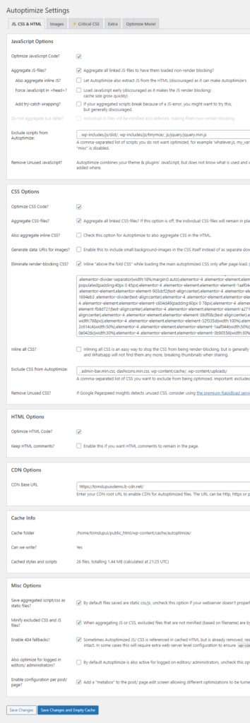 The Ideal Autoptimize Settings 2025 (JS/CSS, HTML, Misc)
