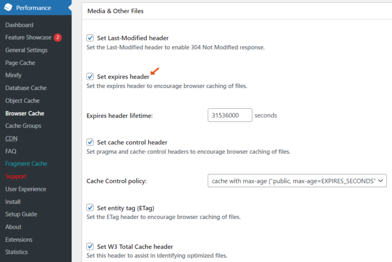 Serve static assets with efficient cache policy (WordPress)
